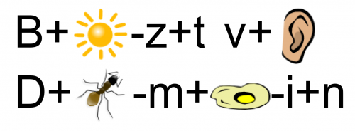 Rebussen – Bont voor Dieren